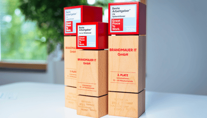 Über uns | BRANDMAUER IT GmbH